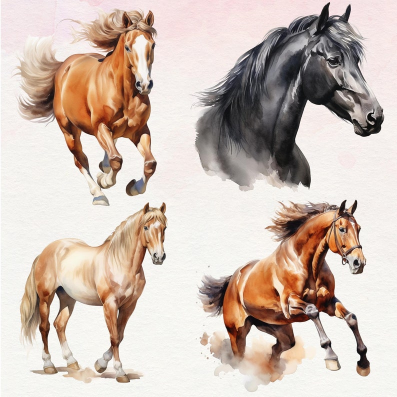 Horses Watercolor Clipart | Farm Horses Clipart Bundle | Horse Clipart ...