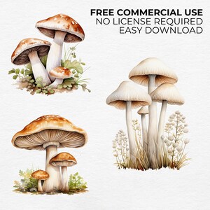 Watercolor Mushrooms Clipart | Forest Nature Mushroom PNG, Autumn Fall ...