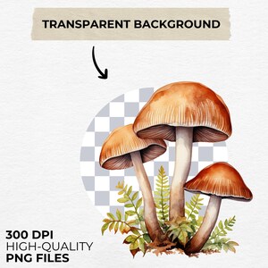 Watercolor Mushrooms Clipart | Forest Nature Mushroom PNG, Autumn Fall ...