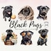 Dogs Clipart Bundle | 20 PNG & JPG Cute Dog Perfect for Card Making ...