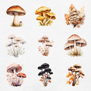 Watercolor Mushrooms Clipart | Forest Nature Mushroom PNG, Autumn Fall ...