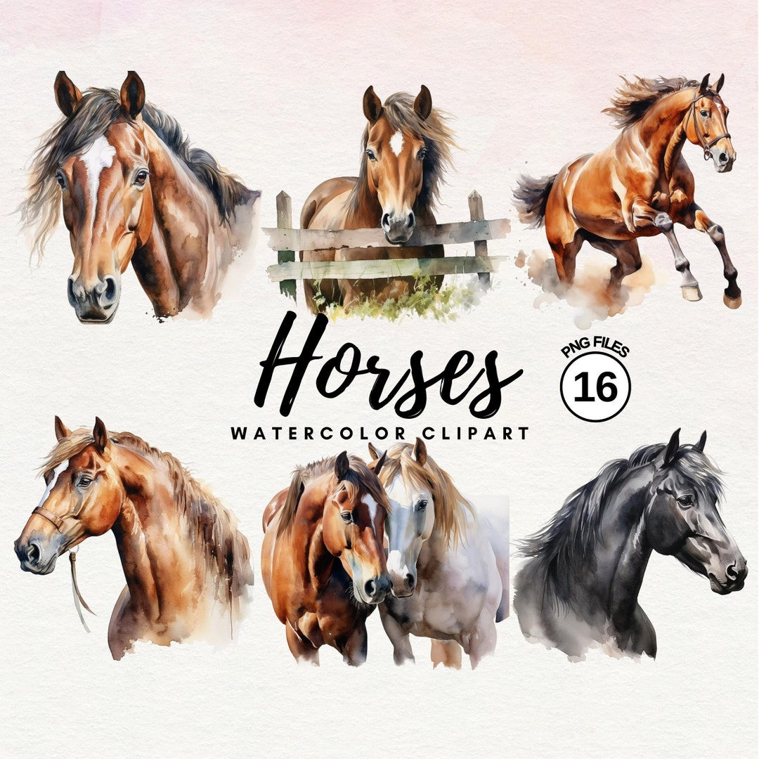 Horses Watercolor Clipart | Farm Horses Clipart Bundle | Horse Clipart ...