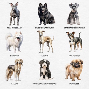 Watercolor Dogs Clipart | 30 Dog Breeds Clipart Bundle, Dogs Lover Gift ...