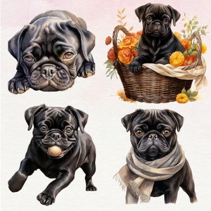 Black Pug Clipart - Watercolor Pug Clipart Bundle | Dog PNG | Cute Dog ...