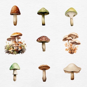 Watercolor Mushrooms Clipart | Forest Nature Mushroom PNG, Autumn Fall ...