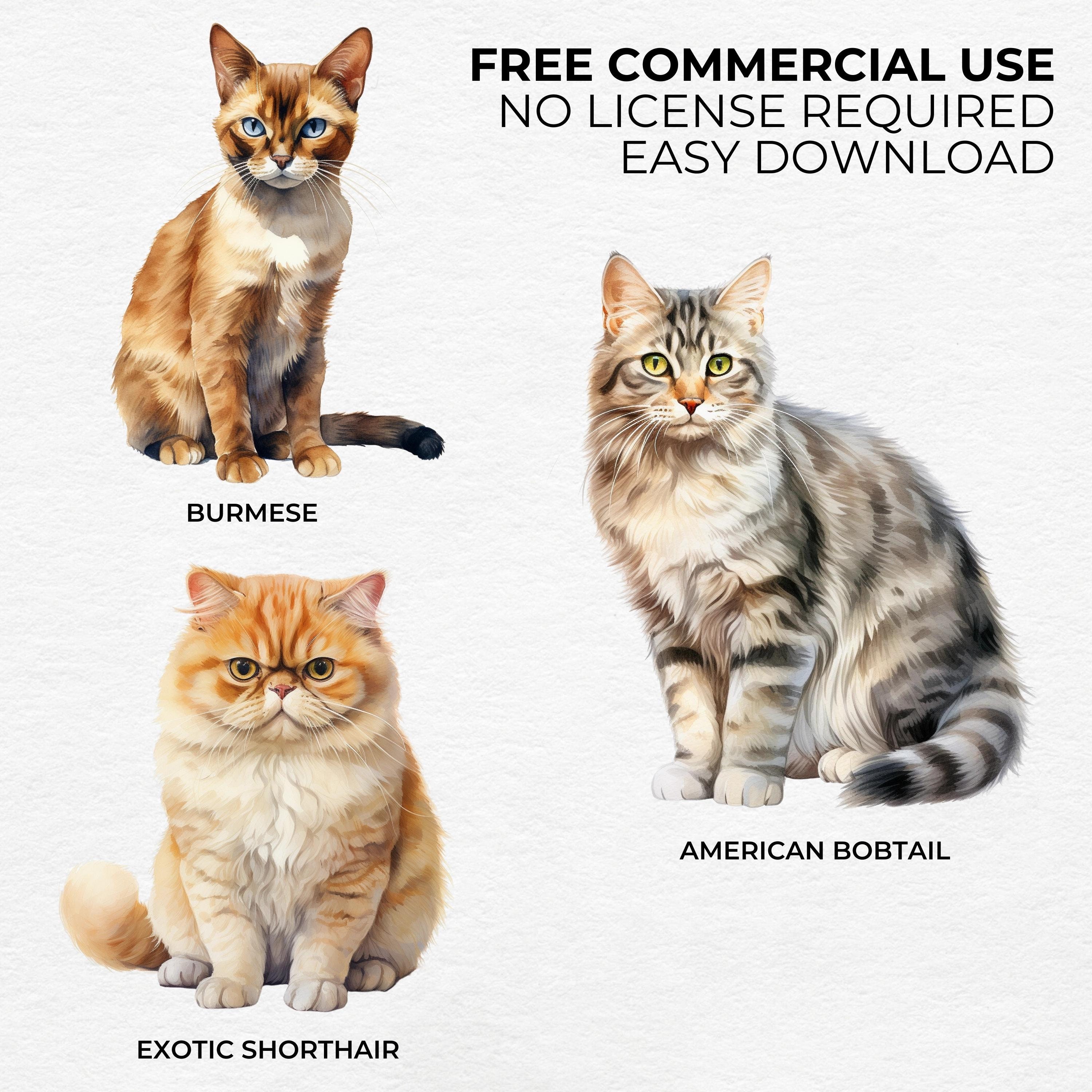 Watercolor Cat Breeds Clipart 30 Cats Breeds Bundle Cat - Etsy