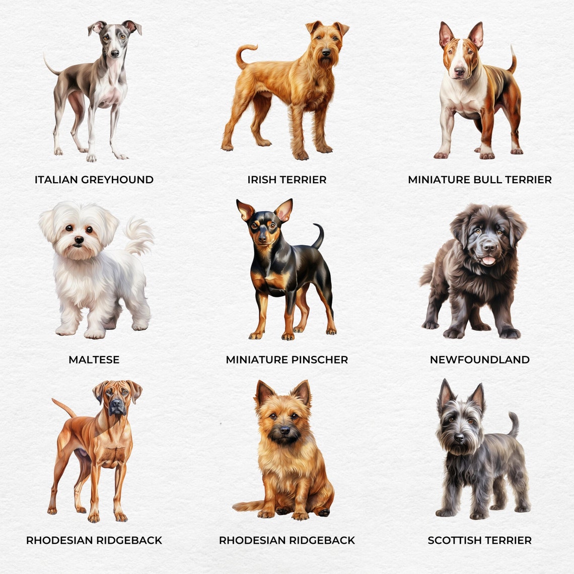 Watercolor Dogs Clipart 30 Dog Breeds Clipart Bundle Puppy - Etsy
