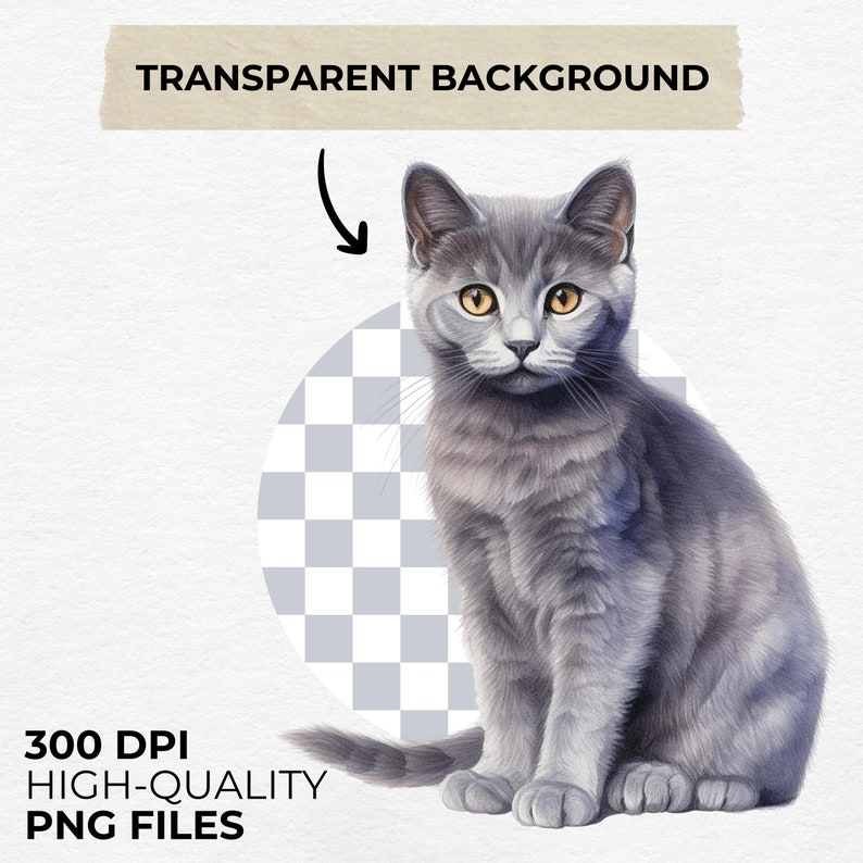 Watercolor Cat Breeds Clipart 30 Cats Breeds Bundle Cat - Etsy