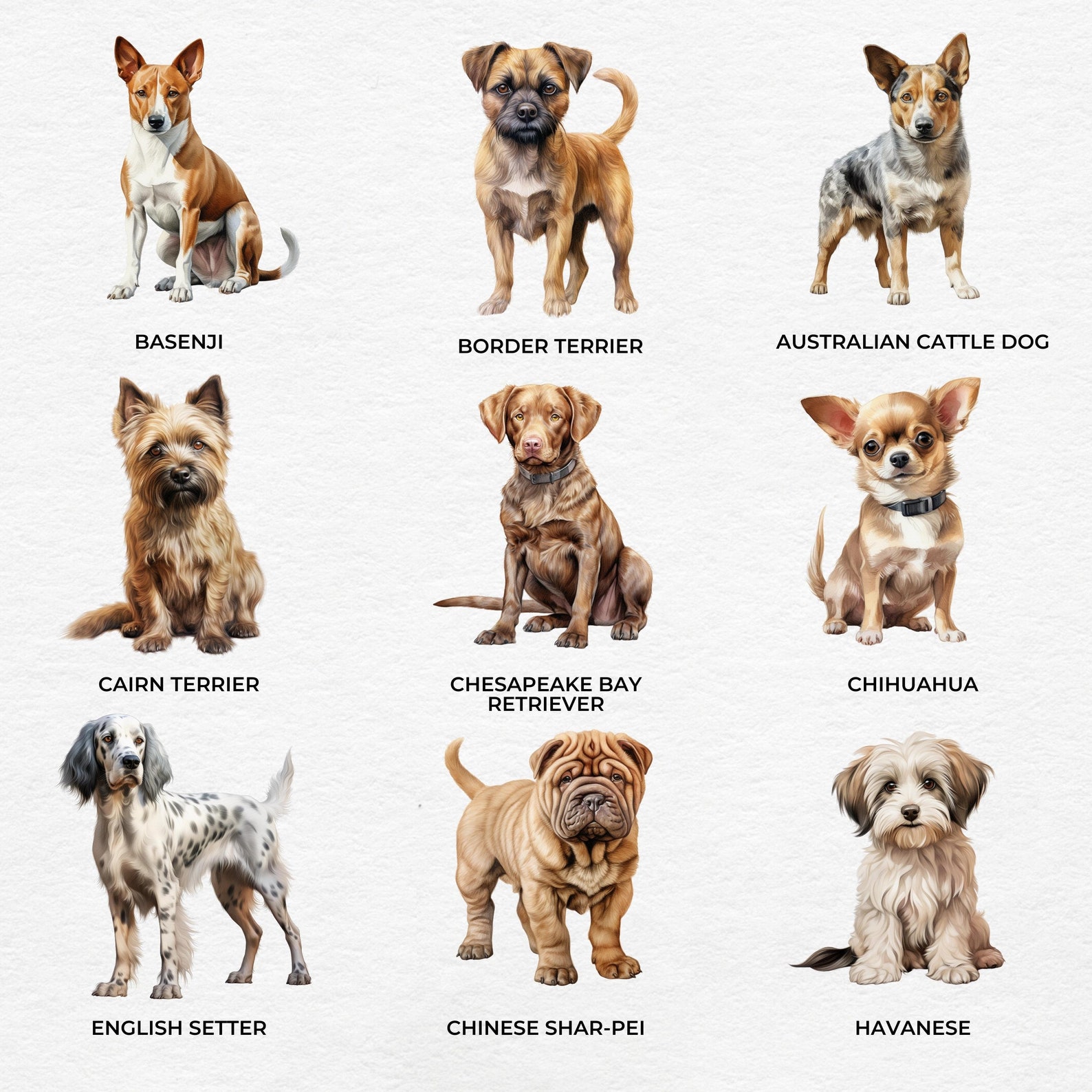 Watercolor Dogs Clipart 30 Dog Breeds Clipart Bundle, Puppy Dog Clipart ...