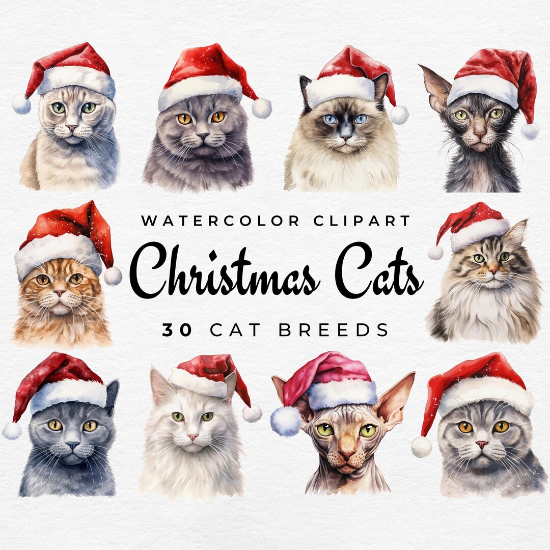 Watercolor Christmas Cats Clipart | 30 Cat Breeds PNG Images, Cat ...
