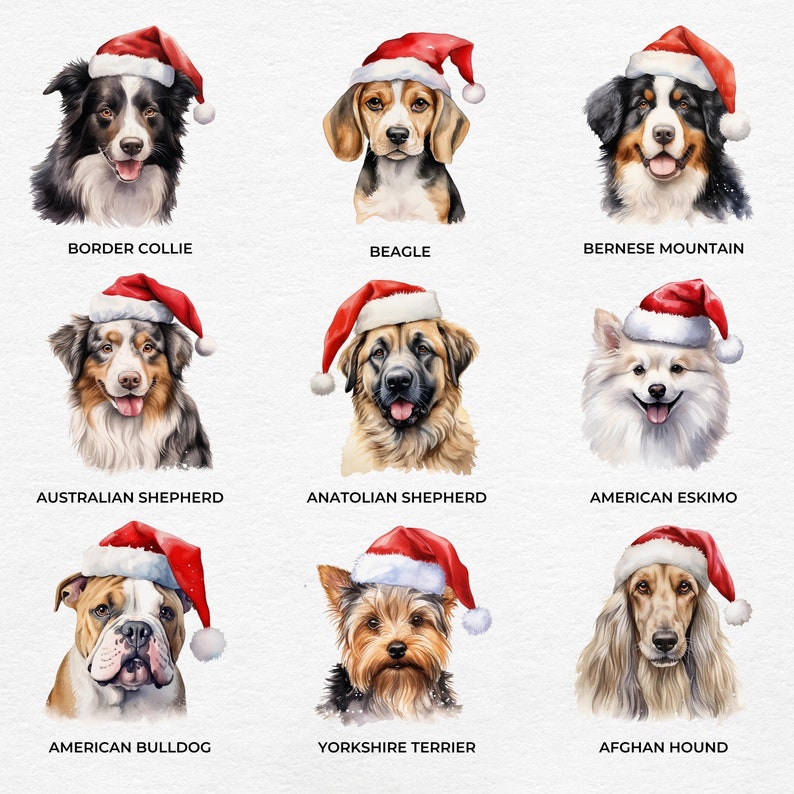 Watercolor Christmas Dogs Clipart Bundle | 50 Dog Breeds PNG Images ...