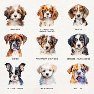 Watercolor Puppy Clipart | 30 Dog Breeds Clipart Bundle, Puppy Dog ...