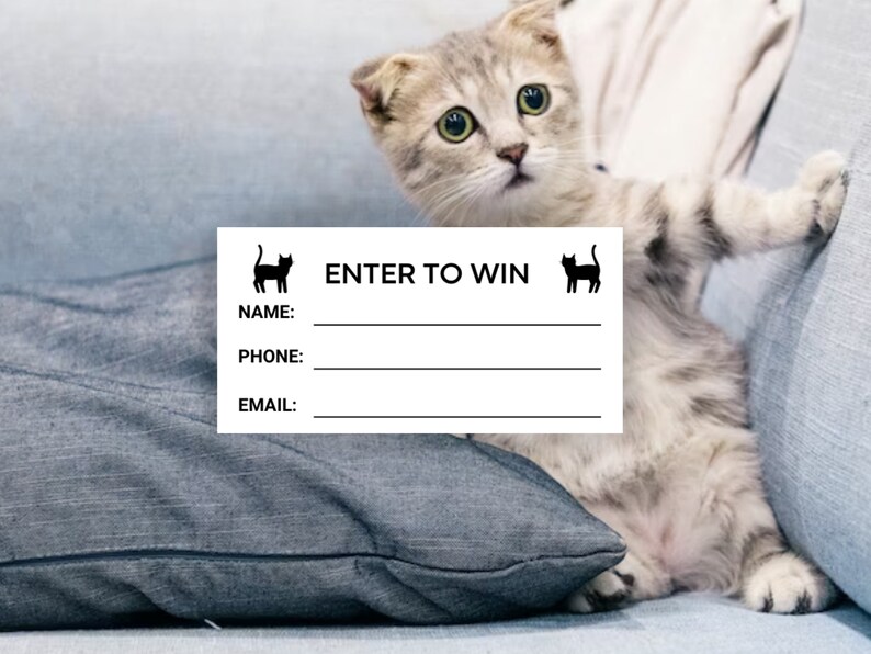 Printable Cat Raffle Ticket Template Cute Kitten Enter to Win Draw ...