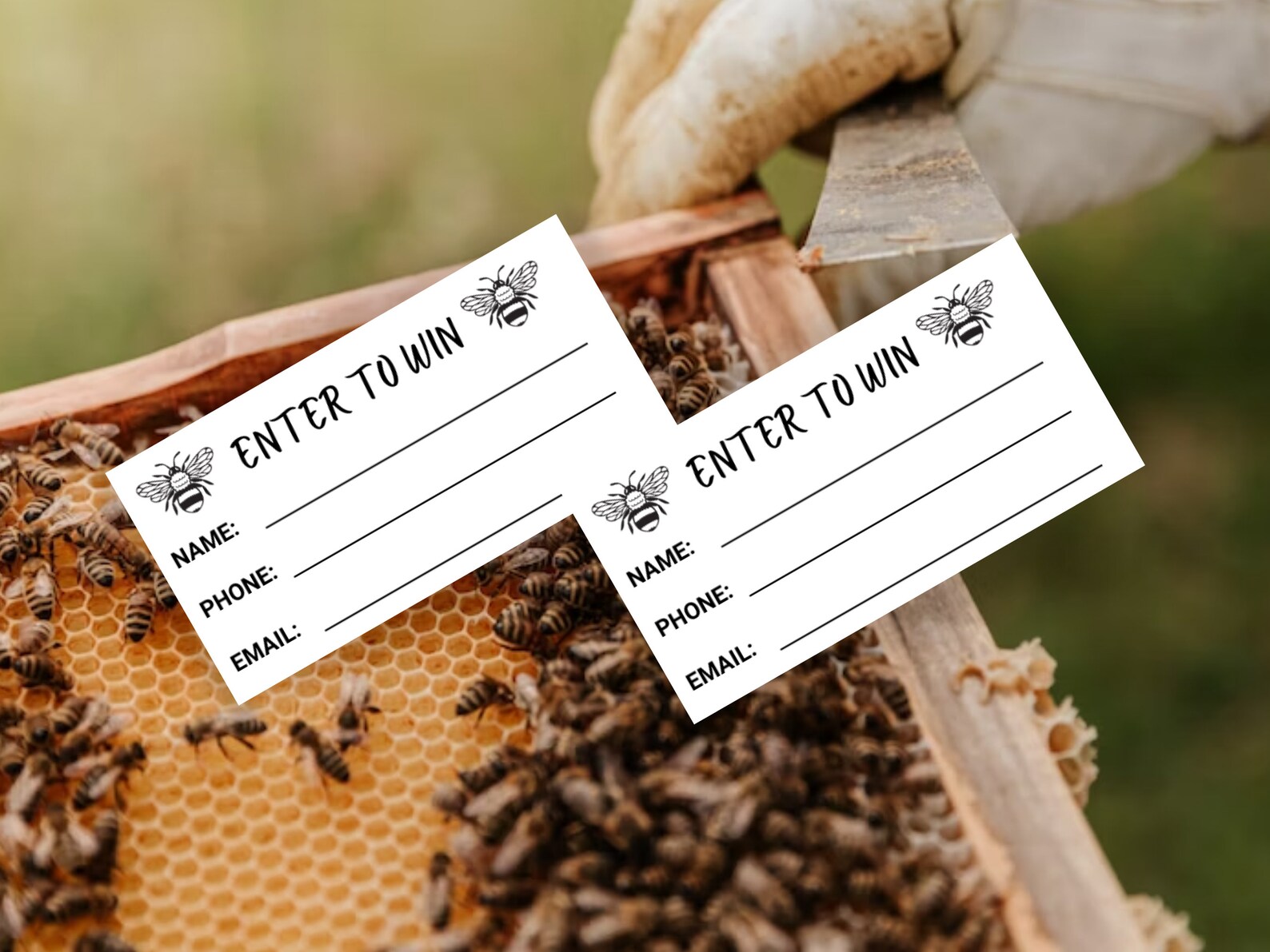 Printable Bee Raffle Ticket Template Honeybee Enter to Win Draw Tickets ...