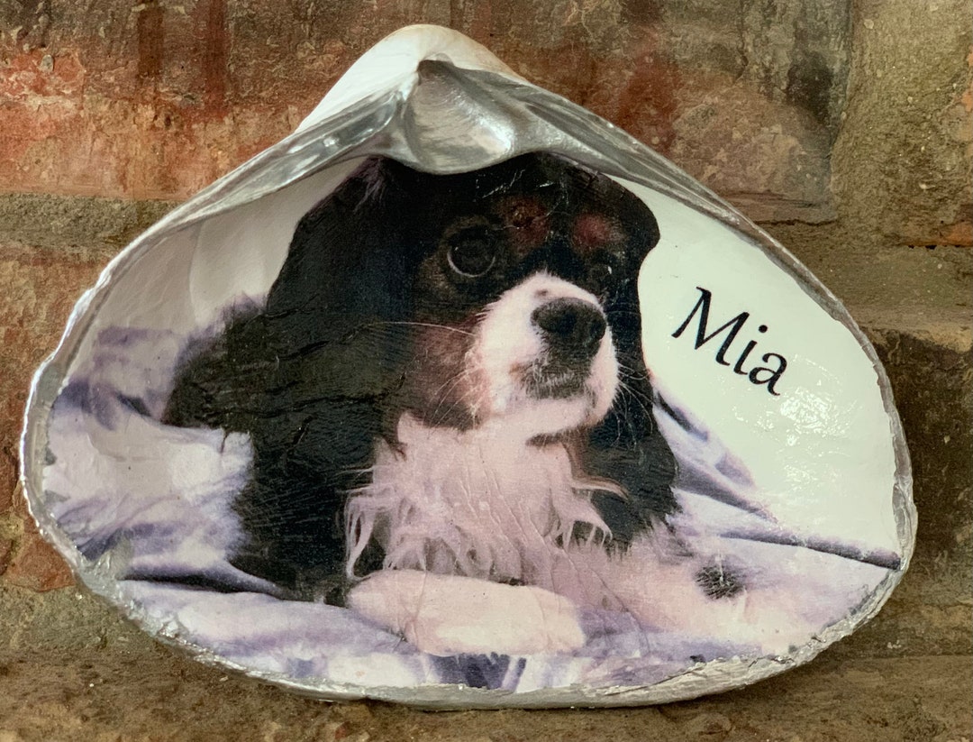 CUSTOM PET Photo Shell: Decoupage Coastal Decor, Personalized Pet ...