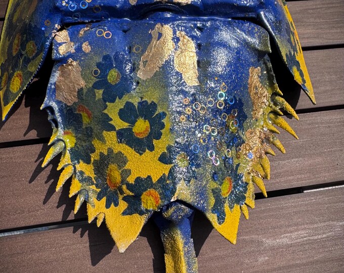 Hand Decorated Horseshoe Crab, Molt – Coastal Wall Art – One of a Kind ...