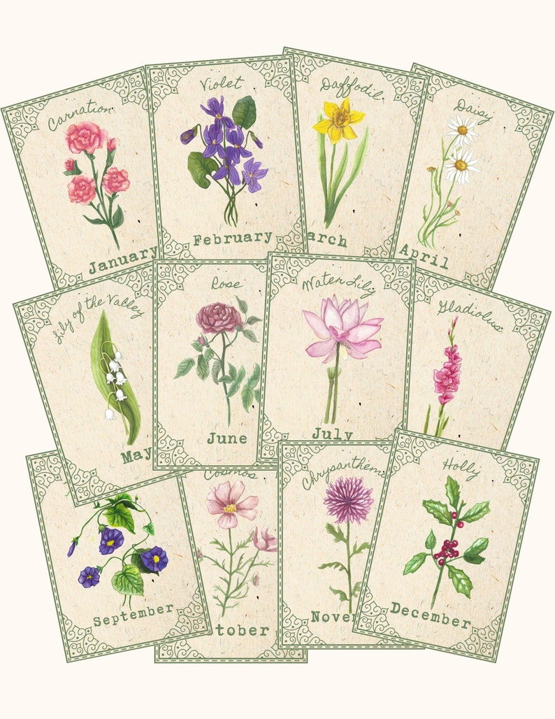Months of the Year Flashcards Flowers Vintage Seed Packets Homeschool ...