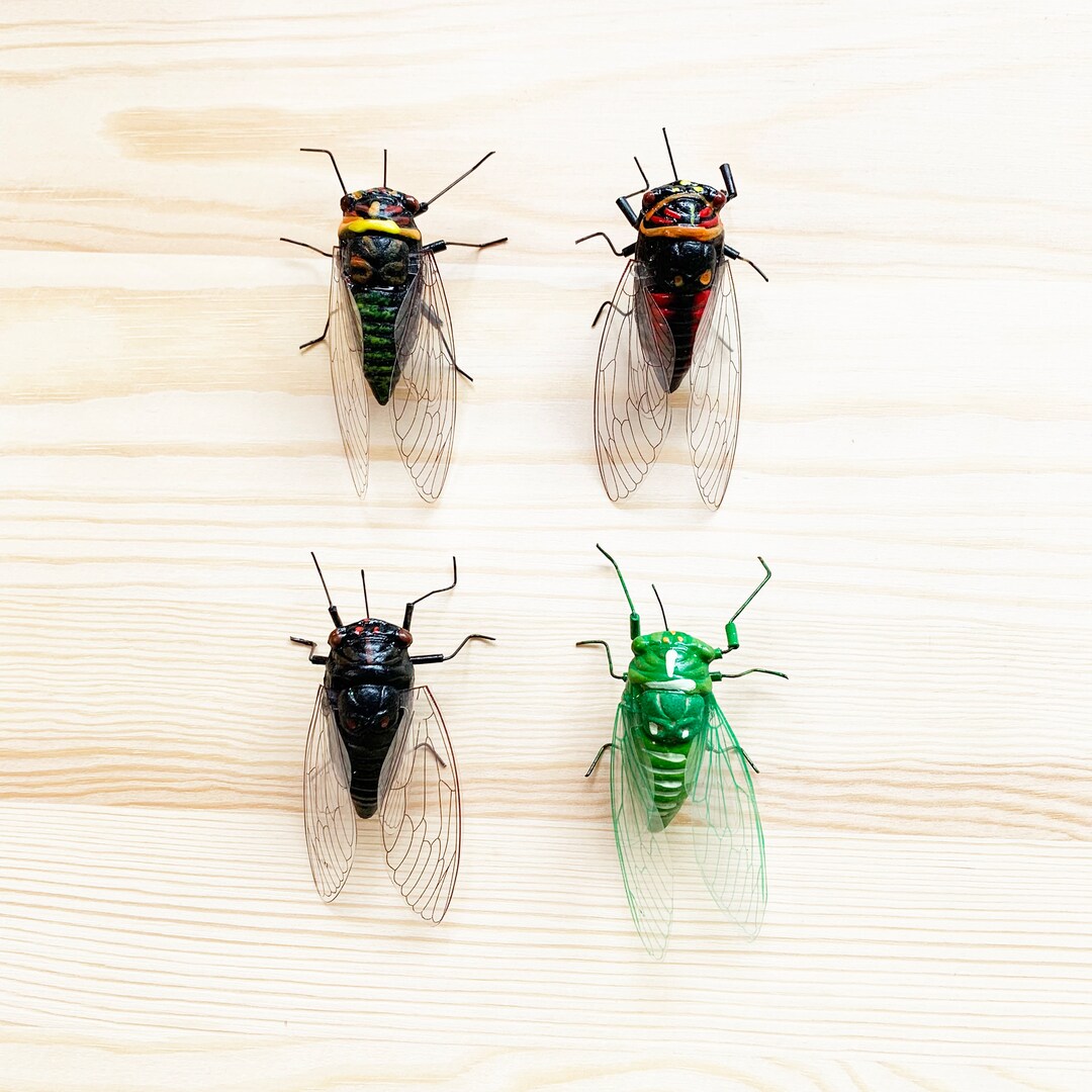 Cicada,4 Colors/1set, Bug Magnet, Handmade Clay Magnet Insect Figurine ...