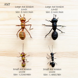 Clay Ant Magnet Set: Realistic Insect Fridge Magnets (3PCS/1SET) - Etsy