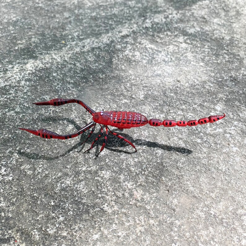 Handmade Clay Scorpion Magnet: Realistic Insect Figurine - Etsy