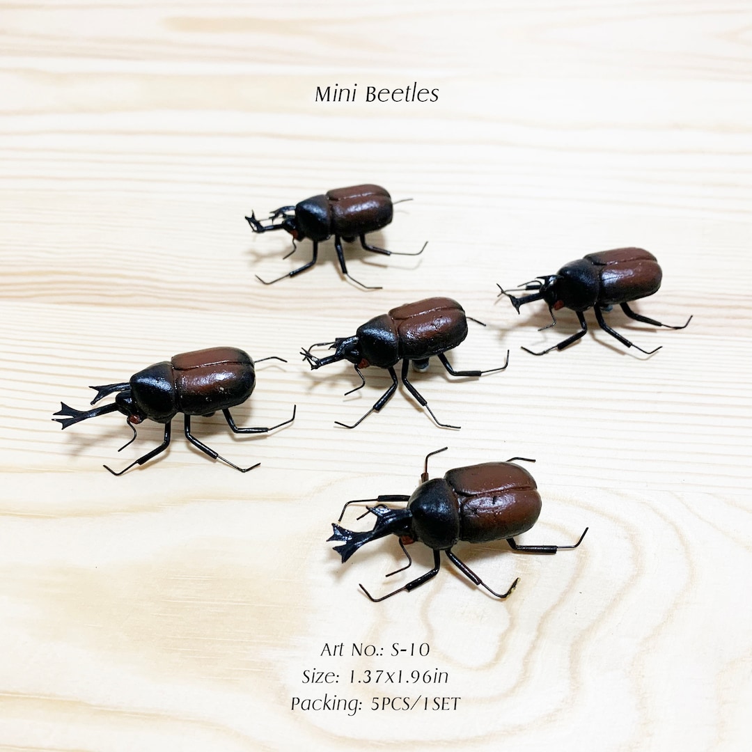 Mini Beetles, Clay Magnet Beetle Figurine Realistic Beetle Model ...