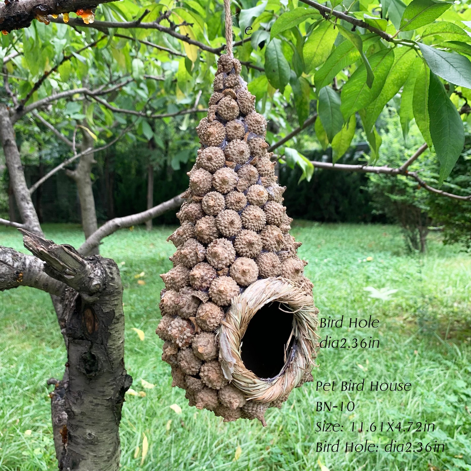 Handmade Bird House Made From Oak Nut Shells, Acorn Birdhouse, Creative ...