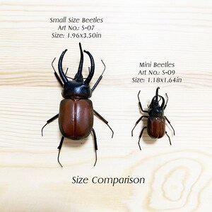 Small Size Handmade Clay Magnet Beetle Figurine Realistic Beetle Model ...