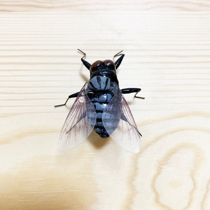 Handmade Clay Fly Magnet Set: Realistic Insect Fridge Magnets (3PCS ...