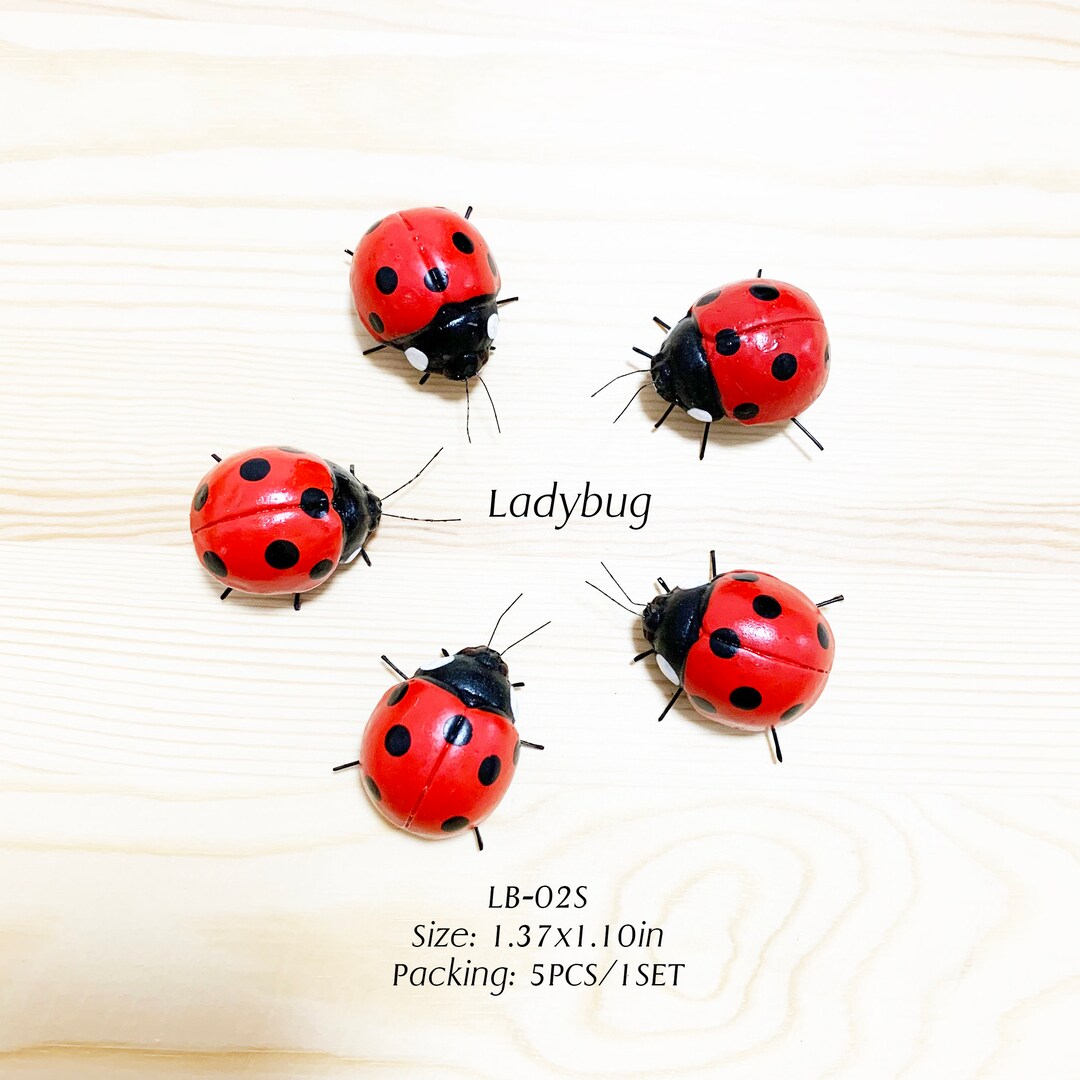 5PCS Ladybug, Bug Magnet, Small Size Handmade Clay Magnet Insect ...