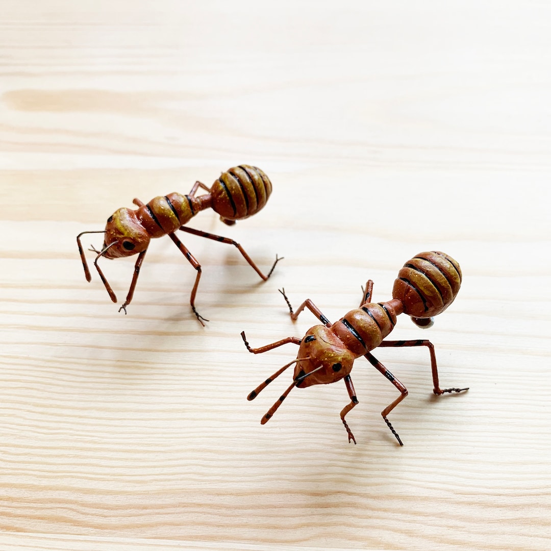 Clay Ant Magnet Set: Realistic Insect Figurine, Fridge Decor (3PCS/1SET ...