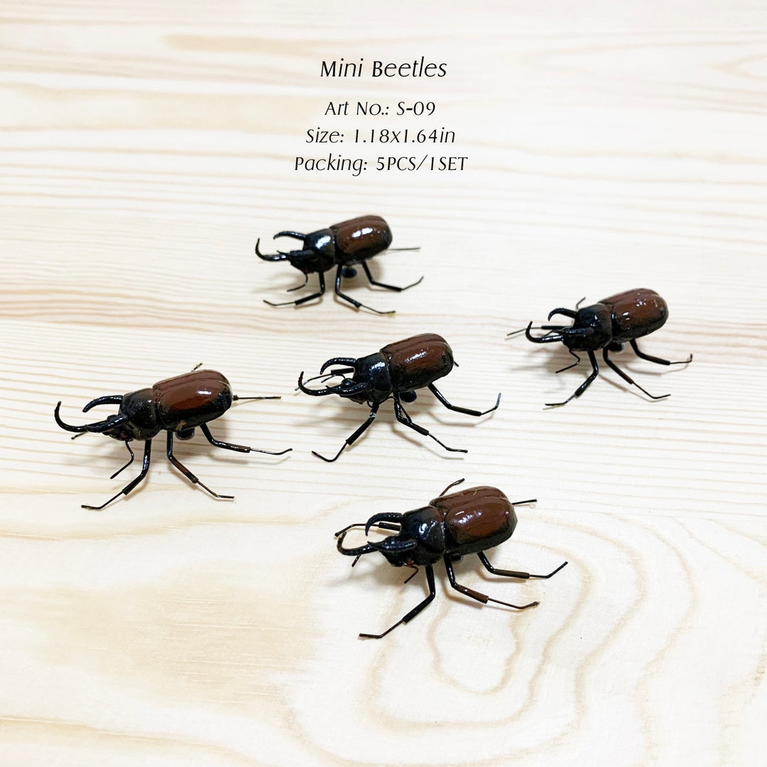 Mini Beetles, Clay Magnet Beetle Figurine Realistic Beetle Model ...