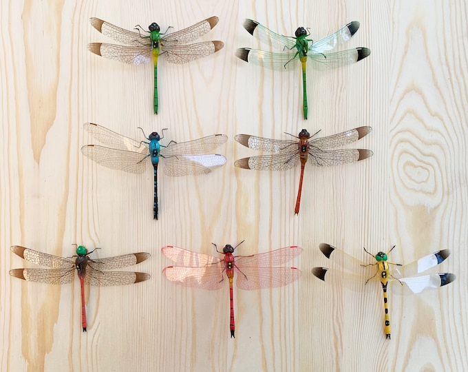 Bug Magnet, Butterfly Wall Sticker, Wall Home Decor, Butterfly Fridge ...