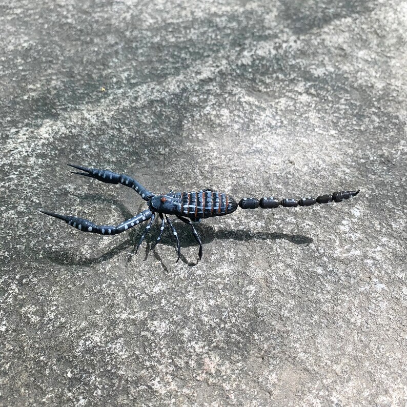 Handmade Clay Scorpion Magnet: Realistic Insect Figurine - Etsy