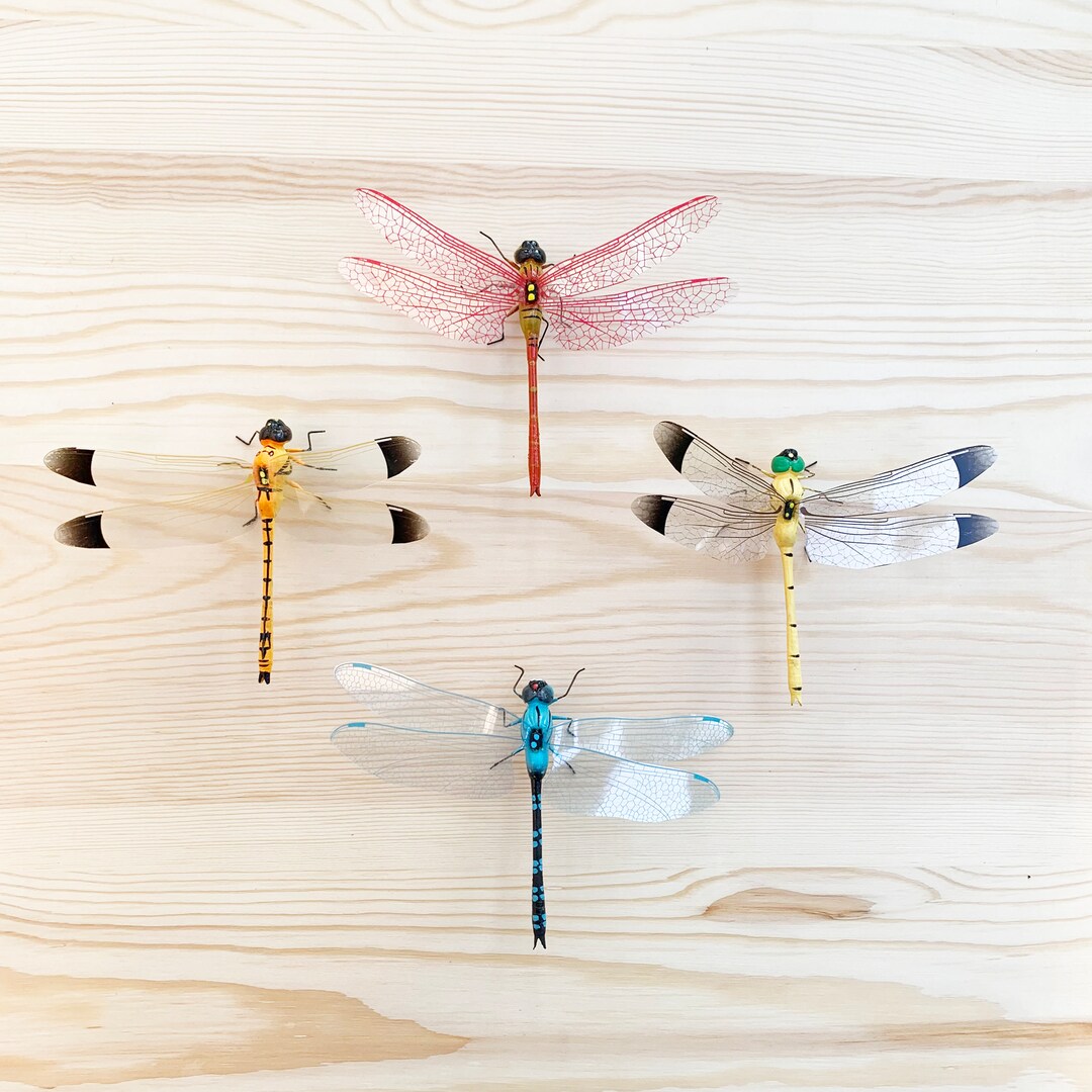 Dragonfly Magnet: Garden Wall Decor, Bug Lover Gift - Etsy
