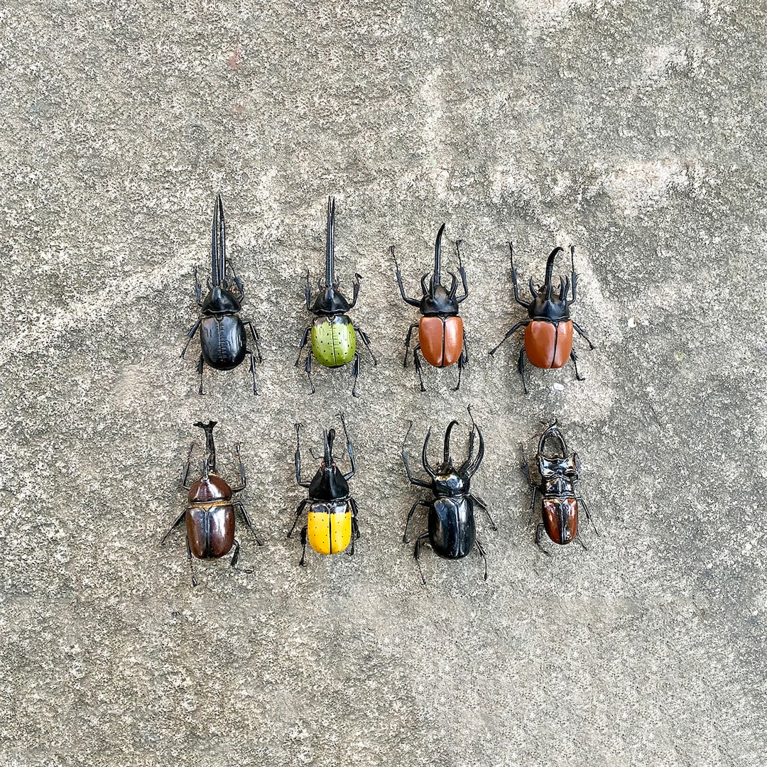 Middle Size Handmade Clay Magnet Beetle Figurine Realistic Beetle Model ...