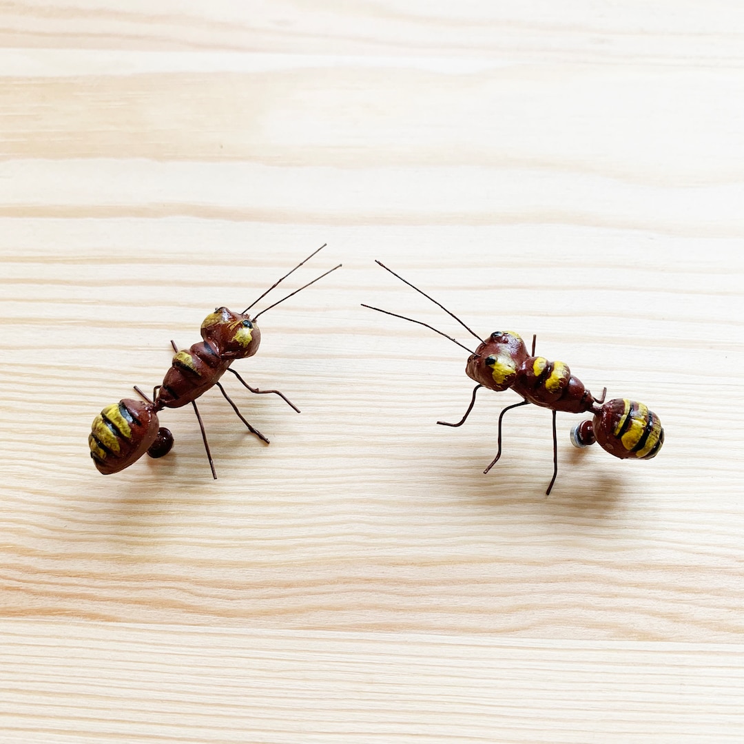 Clay Ant Fridge Magnets: Realistic Insect Model, Teaching Material ...
