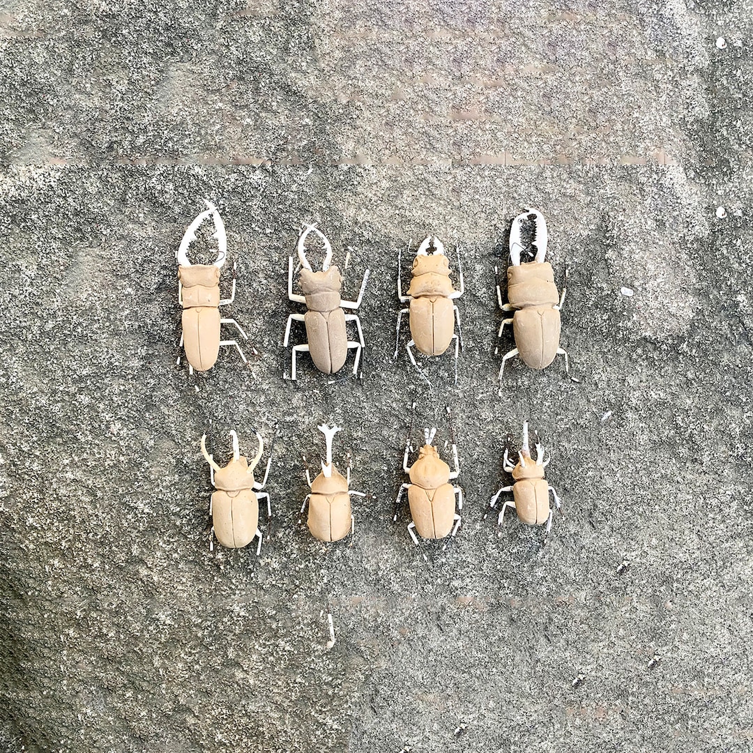 DIY Clay Beetle Magnet Model: Color Me Craft Kit - Etsy