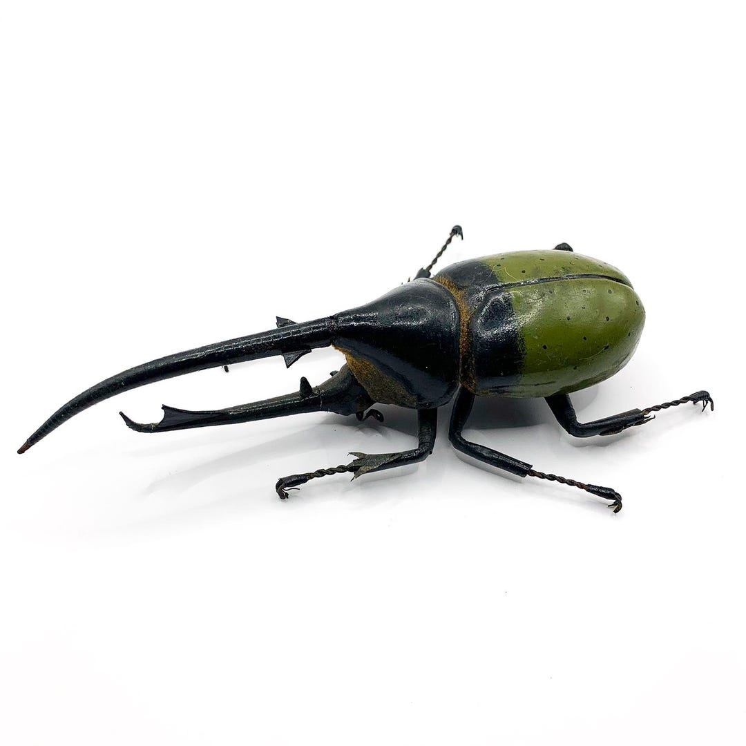 Handmade Clay Beetle Magnet: Realistic Figurine, Green Insect Decor - Etsy