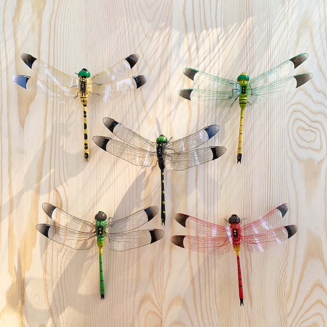 Large Realistic Dragonfly Fridge Magnet: Garden Wall Decor - Etsy