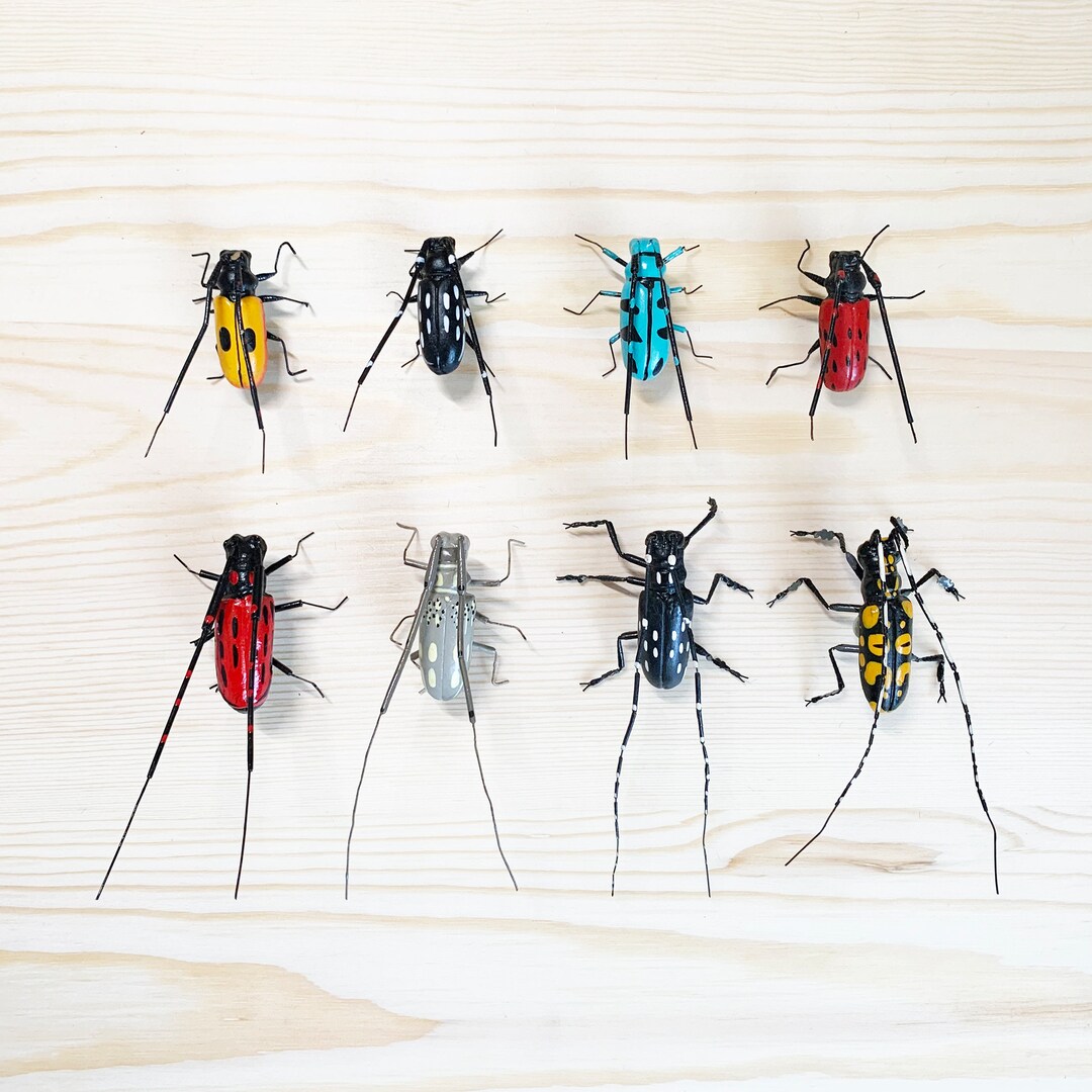 Big Size Handmade Clay Magnet Longicorn Figurine, Bug Magnet, Realistic ...