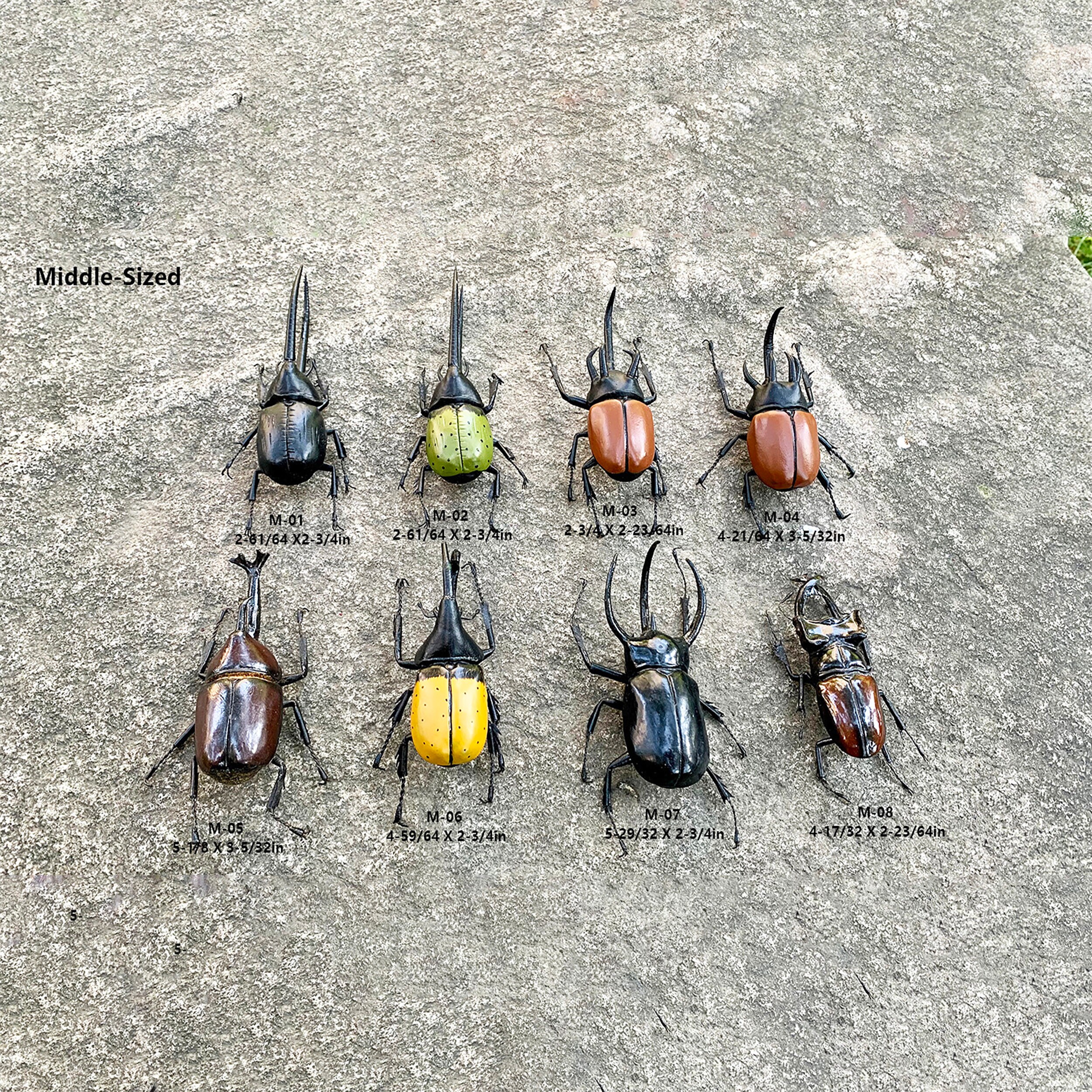 Handmade Clay Beetle Magnet, Realistic Insect Figurine - Etsy
