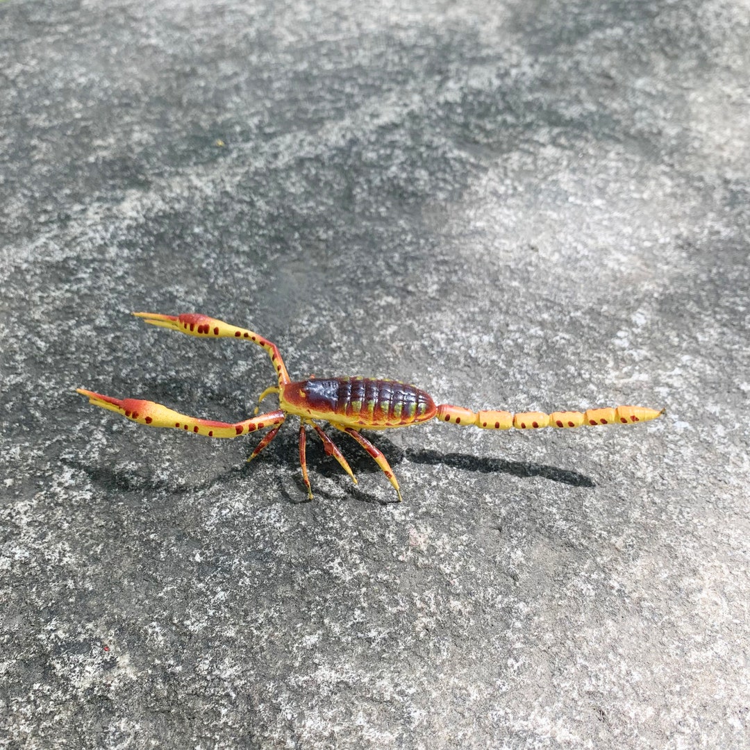Scorpion, Handmade Clay Magnet Insect Figurine Realistic Insect Model ...