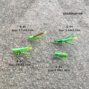 Handmade Clay Grasshopper Magnet: Realistic Insect Figurine - Etsy