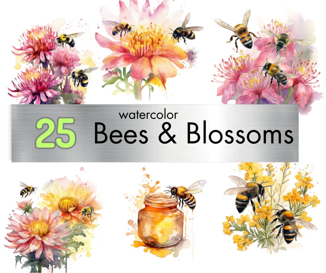 Watercolor Bee and Blossom Clipart Collection - 25 High-quality Files ...