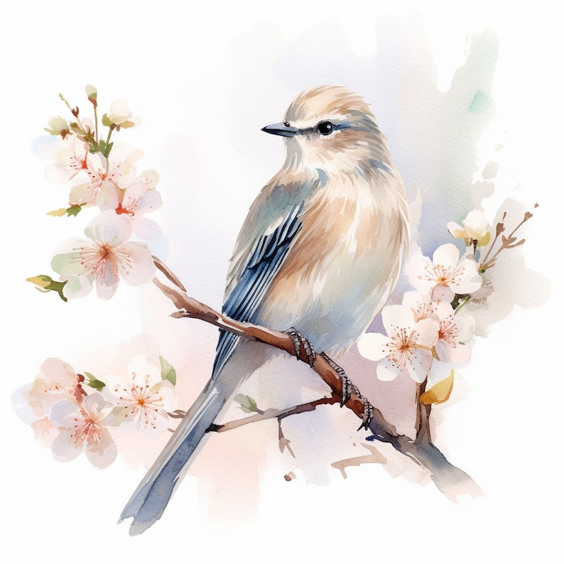 Set of 77, Watercolor Birds Clip Art, Colorful Birds Clipart, Spring ...