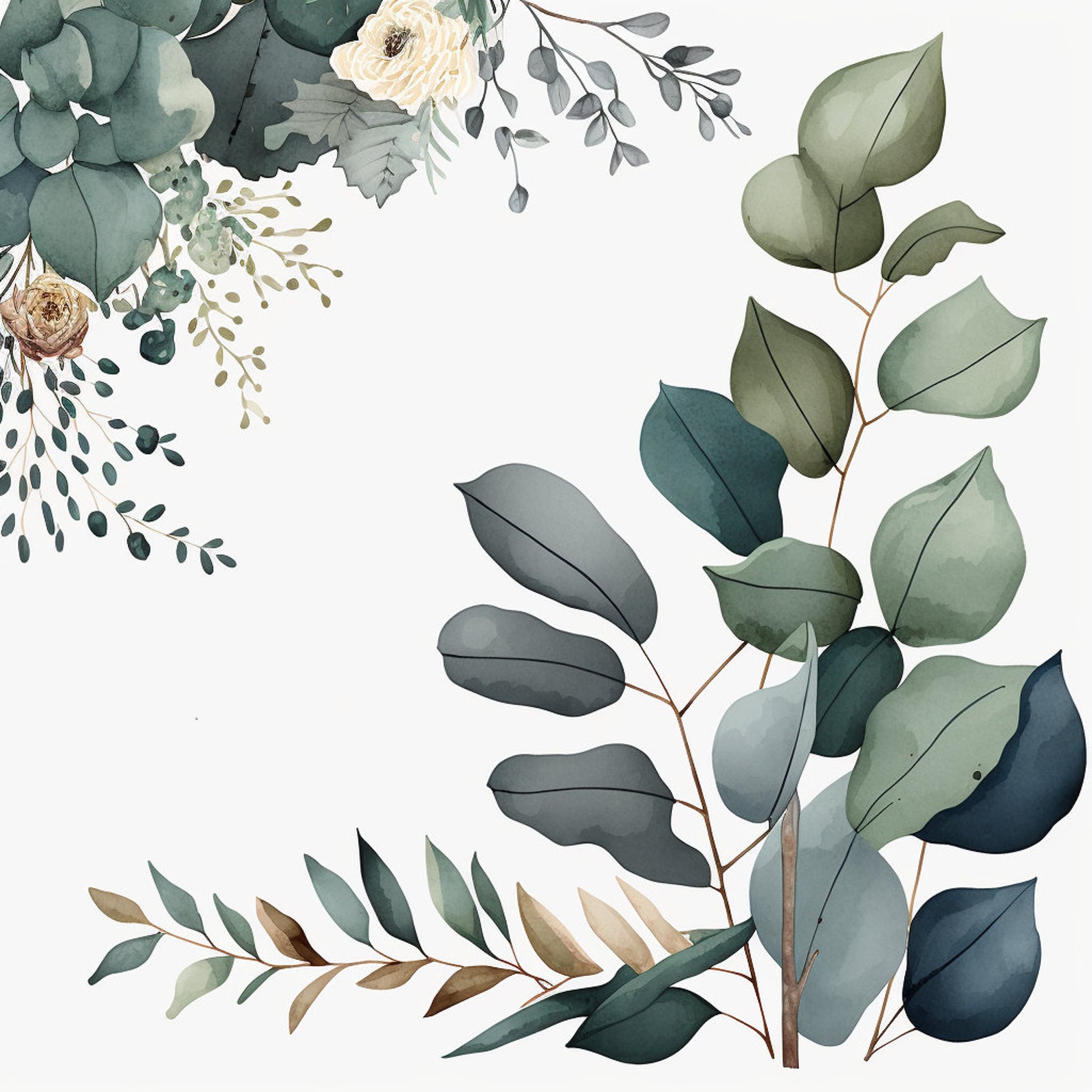 Set of 35 Eucalyptus Assortment Bundle, Clipart PNG, Transparent ...