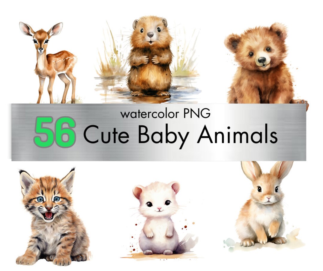 Cute Baby Animals Clipart - 56 Watercolor Images. Adorable Woodland ...