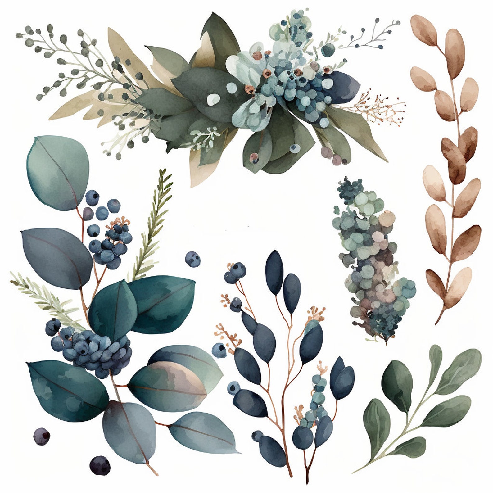 Watercolor Eucalyptus Clipart, Greenery Clipart, Watercolor Floral ...
