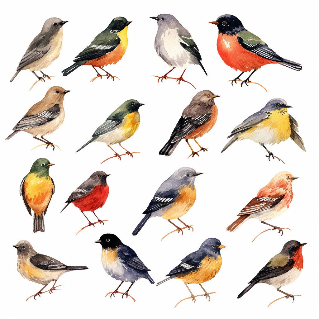 Set of 77, Watercolor Birds Clip Art, Colorful Birds Clipart, Spring ...