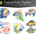 Watercolor Fish Clipart, Tropical Fish Clipart, Coral Reef Fish Clipart ...